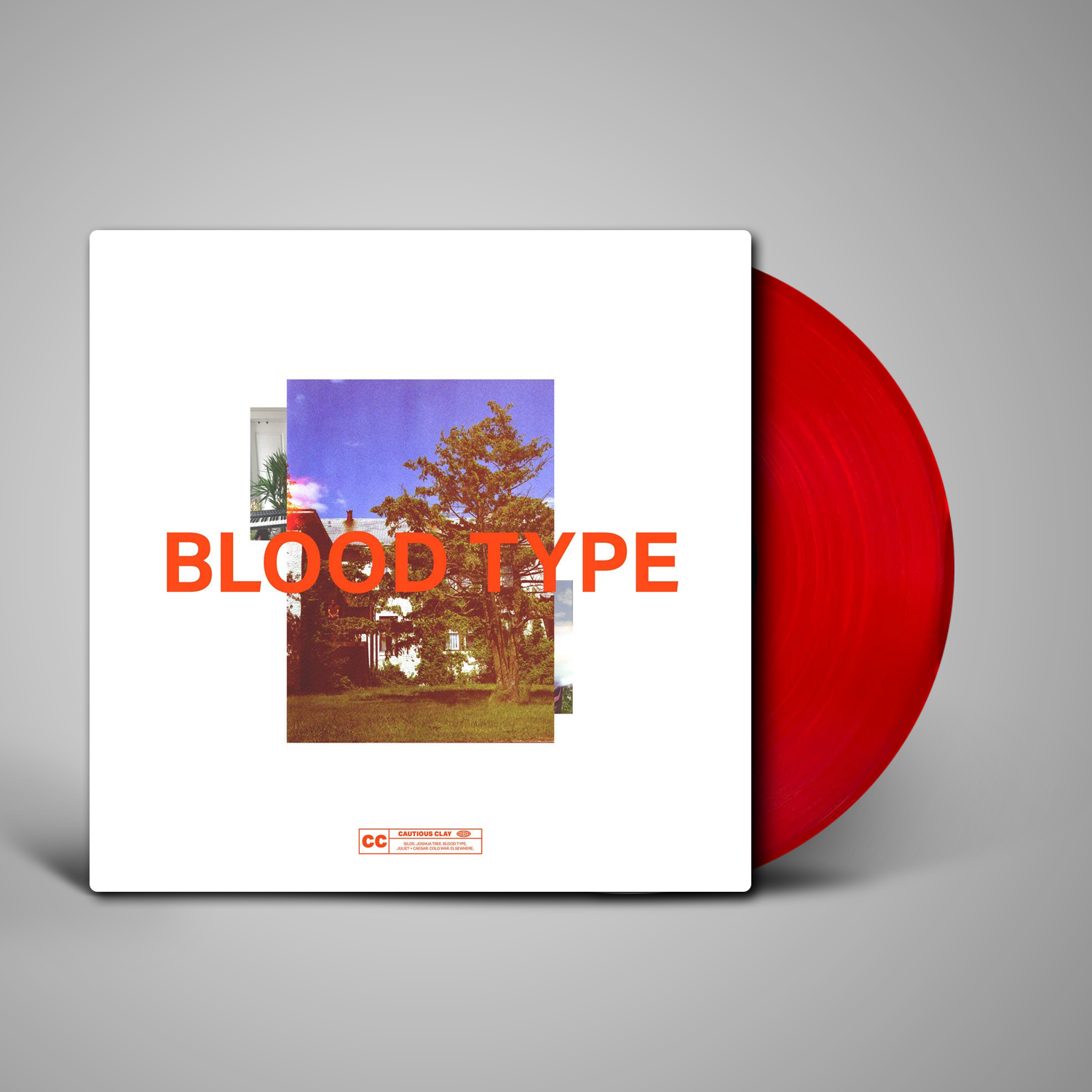 Cautions Clay - Blood Type – Resident Vinyl