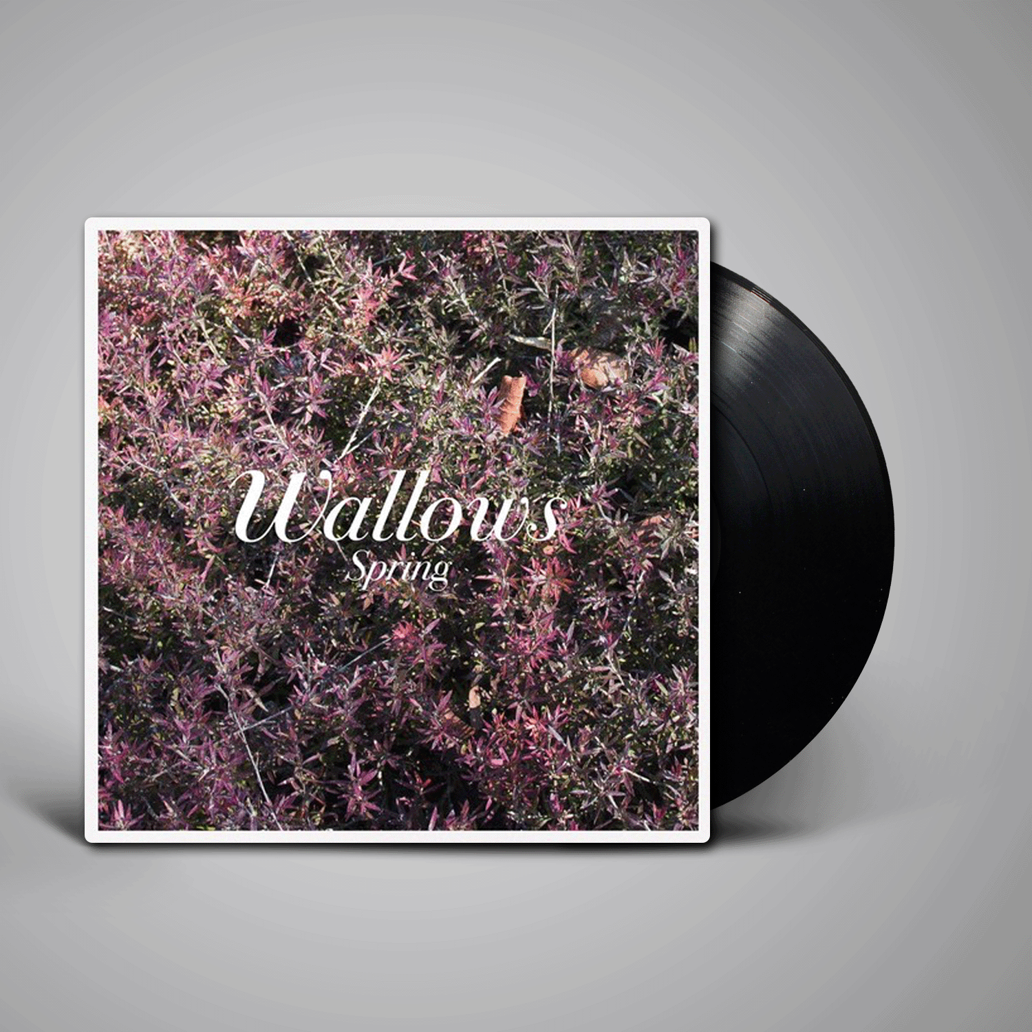 WALLOWS - Spring – Resident Vinyl